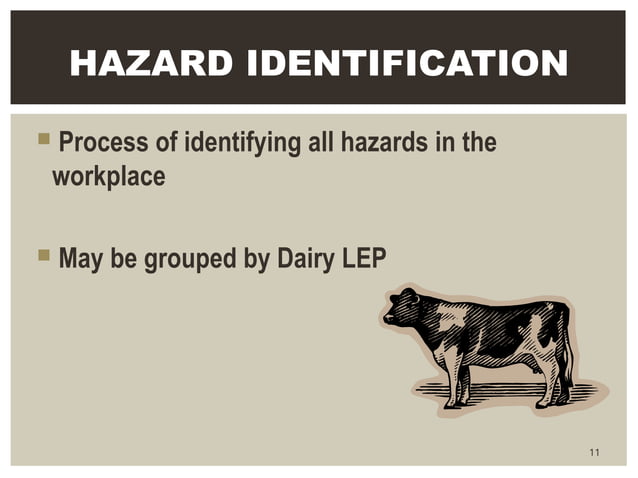 HAZARD IDENTIFICATIONS AND RISK ASSESSMENT | PPT