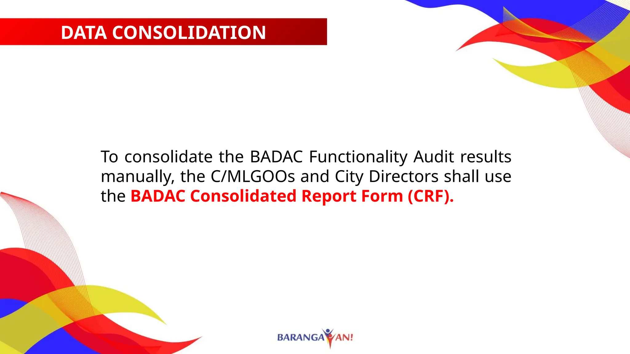 FY 2023 BADAC Functionality Audit Guidelines.pptx