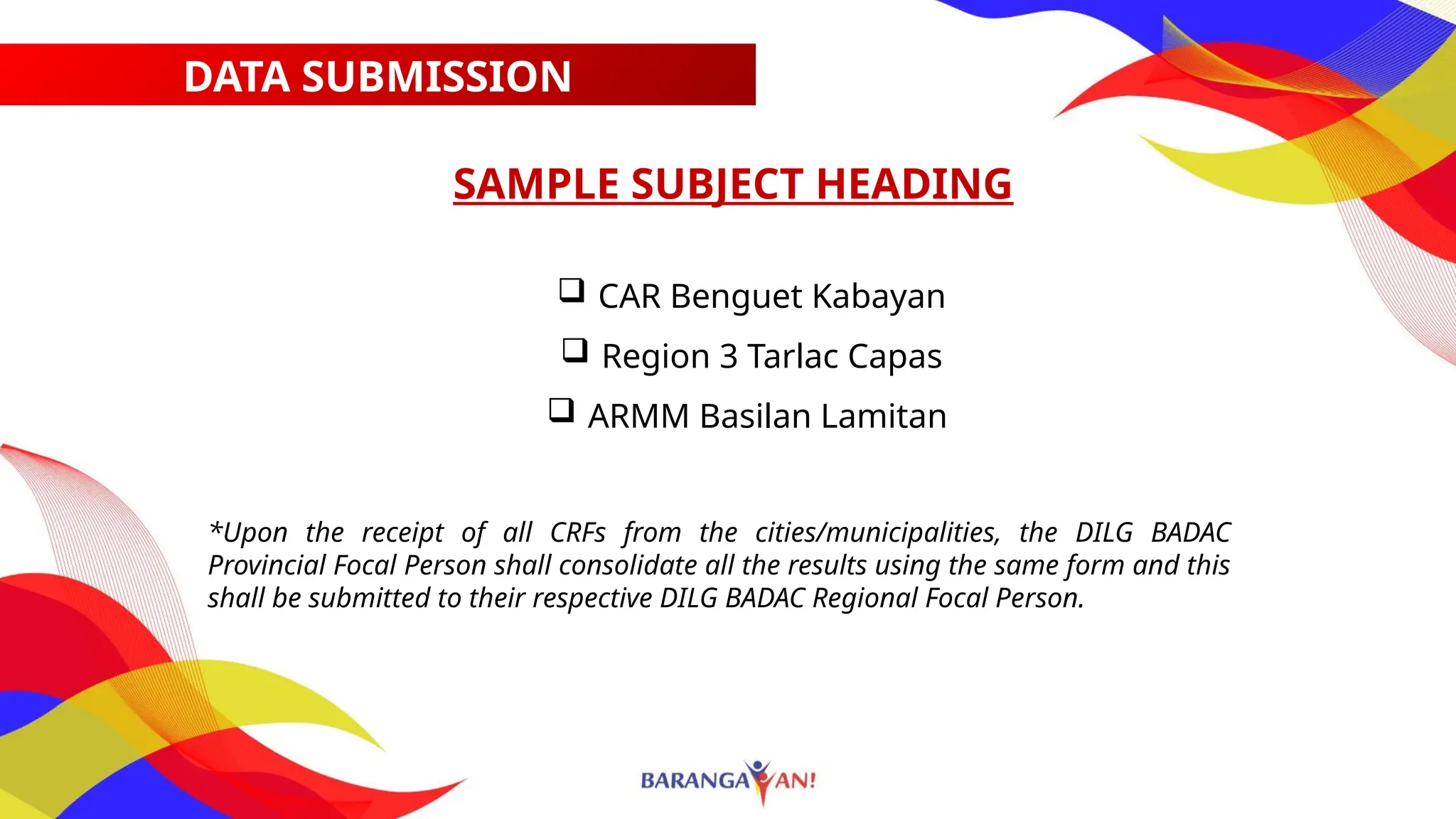 FY 2023 BADAC Functionality Audit Guidelines.pptx