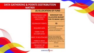 FY 2023 BADAC Functionality Audit Guidelines.pptx