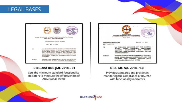 FY 2023 BADAC Functionality Audit Guidelines.pptx