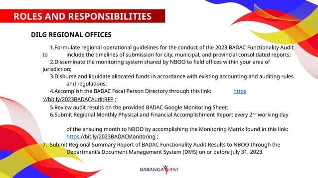 FY 2023 BADAC Functionality Audit Guidelines.pptx