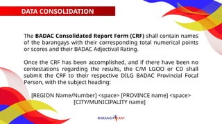 FY 2023 BADAC Functionality Audit Guidelines.pptx