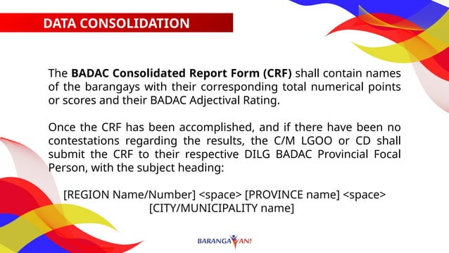 FY 2023 BADAC Functionality Audit Guidelines.pptx