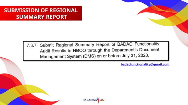 FY 2023 BADAC Functionality Audit Guidelines.pptx