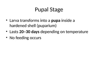 Study of life cycle of Blow fly - Glossina (D) | PPTX