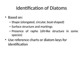 To carry out microscopic examination of diatoms. | PPTX
