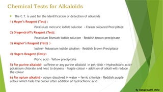Introduction of Secondary Metabolite - Alkaloids. | PPTX