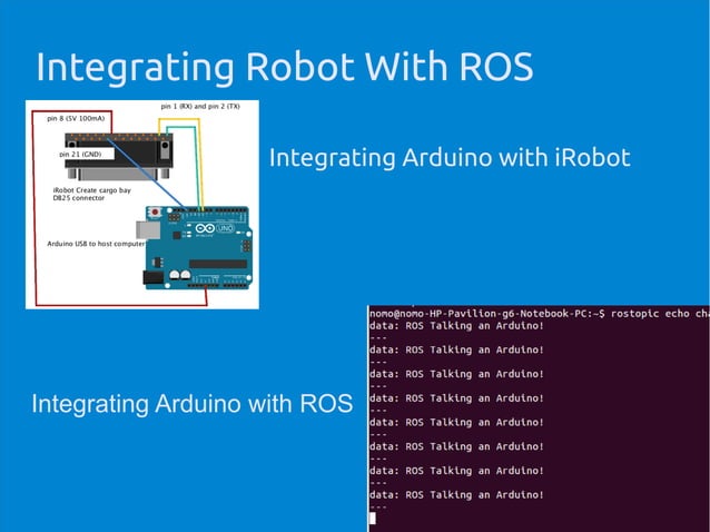 Utility Domestic Robot Presentation | PDF