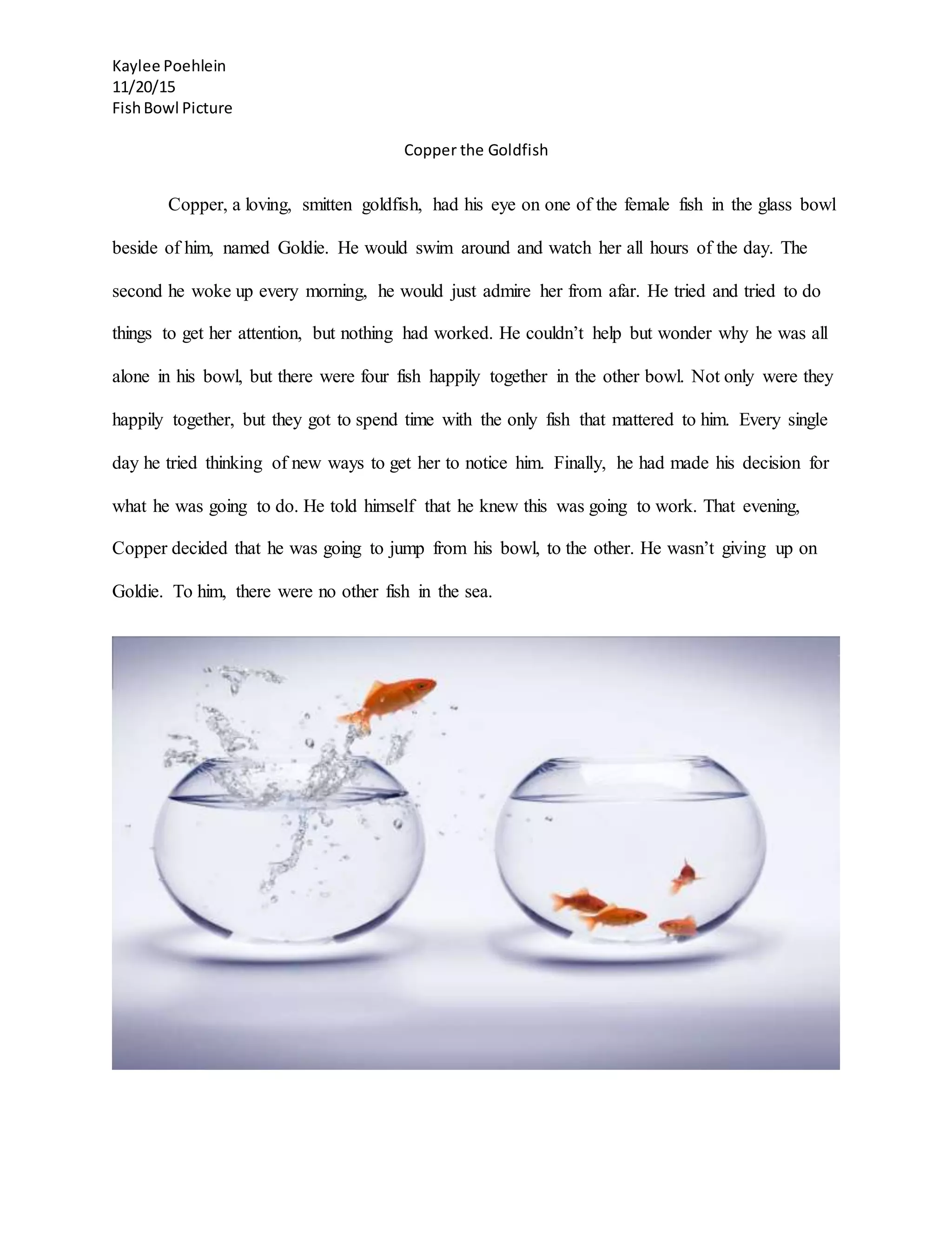 Fys fish bowl | PDF