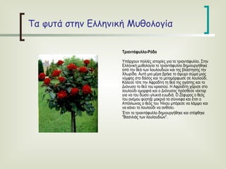 Φυτά στη μυθολογία | PPT