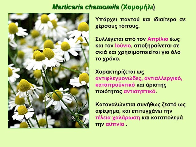 Φυτά της Ελληνικής Γης | PPT