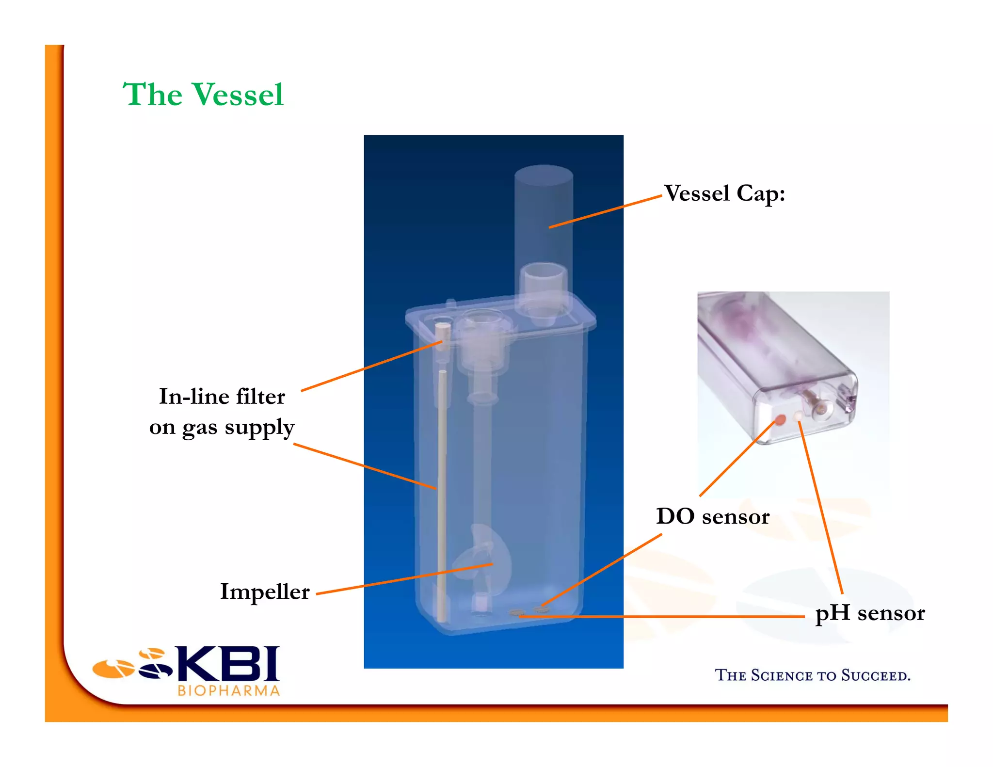 High Throughput Bioreactor Mimetic in Early and Late Stage Process ...