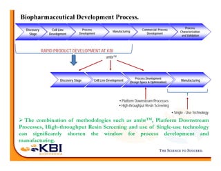 High Throughput Bioreactor Mimetic in Early and Late Stage Process ...