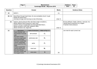 0610 s16 ms_42 | PDF