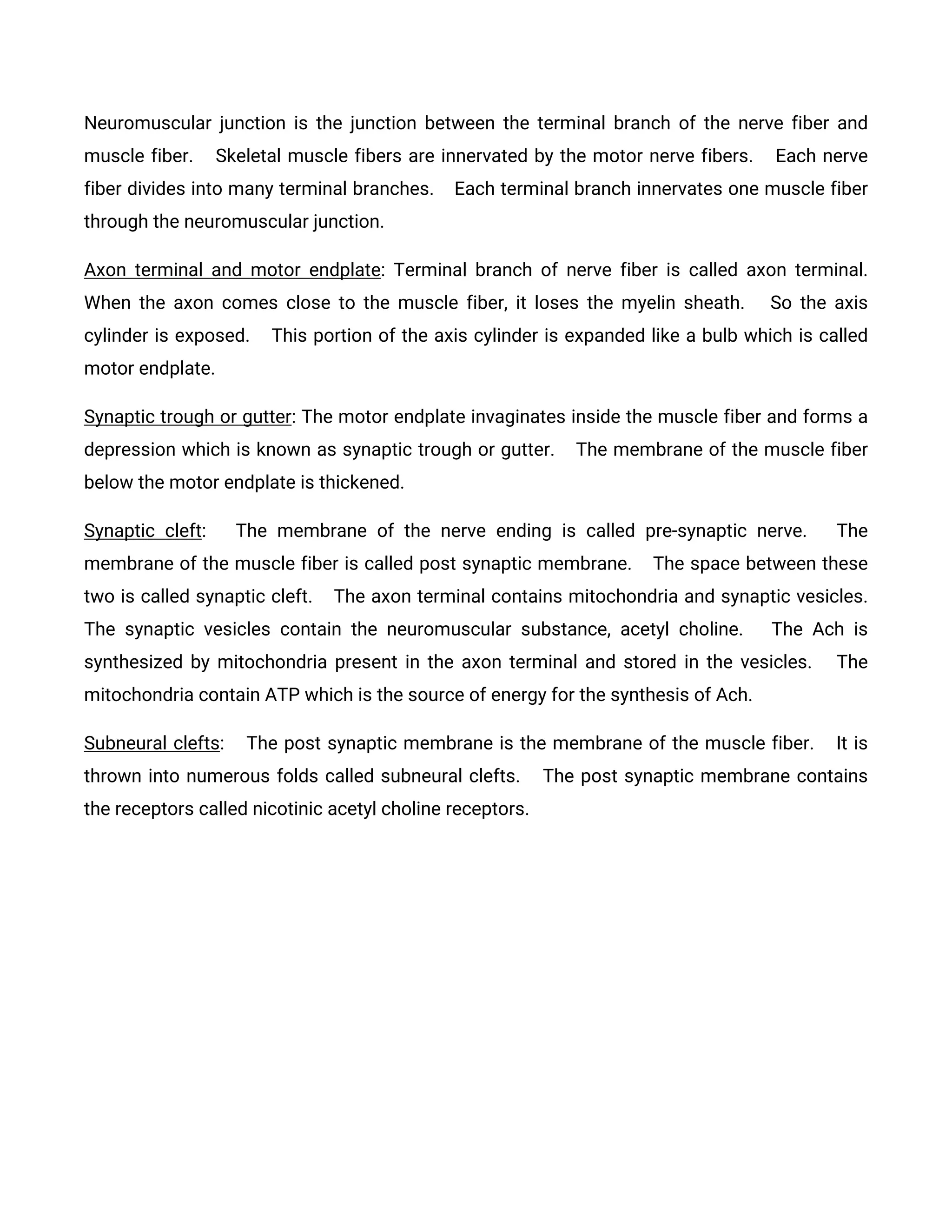 MUSCULAR SYSTEM for B sc Nursing students | PDF