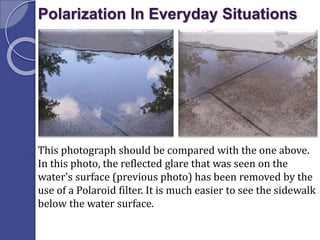 Polarization of Light | PPTX