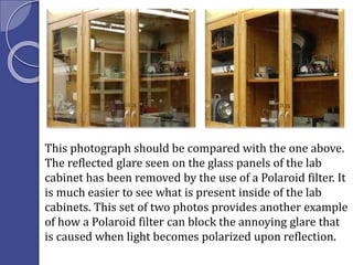 Polarization of Light | PPTX