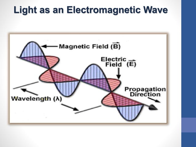 Polarization Of Light Pptx Physics Science