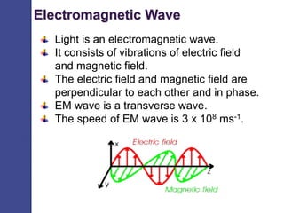 Polarization of Light | PPTX