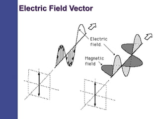 Polarization of Light | PPTX