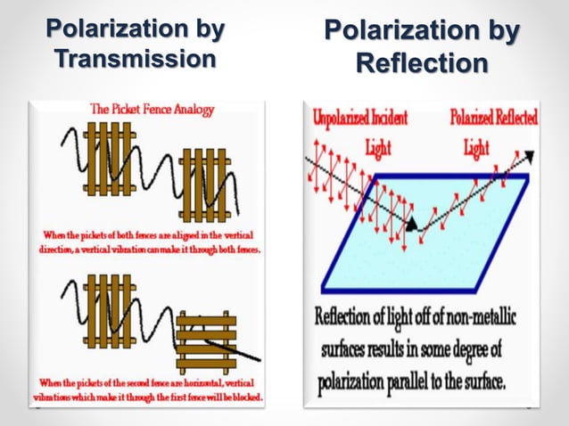 Polarization Of Light Pptx Physics Science