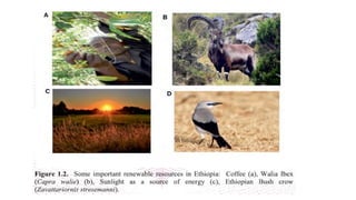 Grade-12-Biology-Unit-One@Sumeya-SPS.pptx
