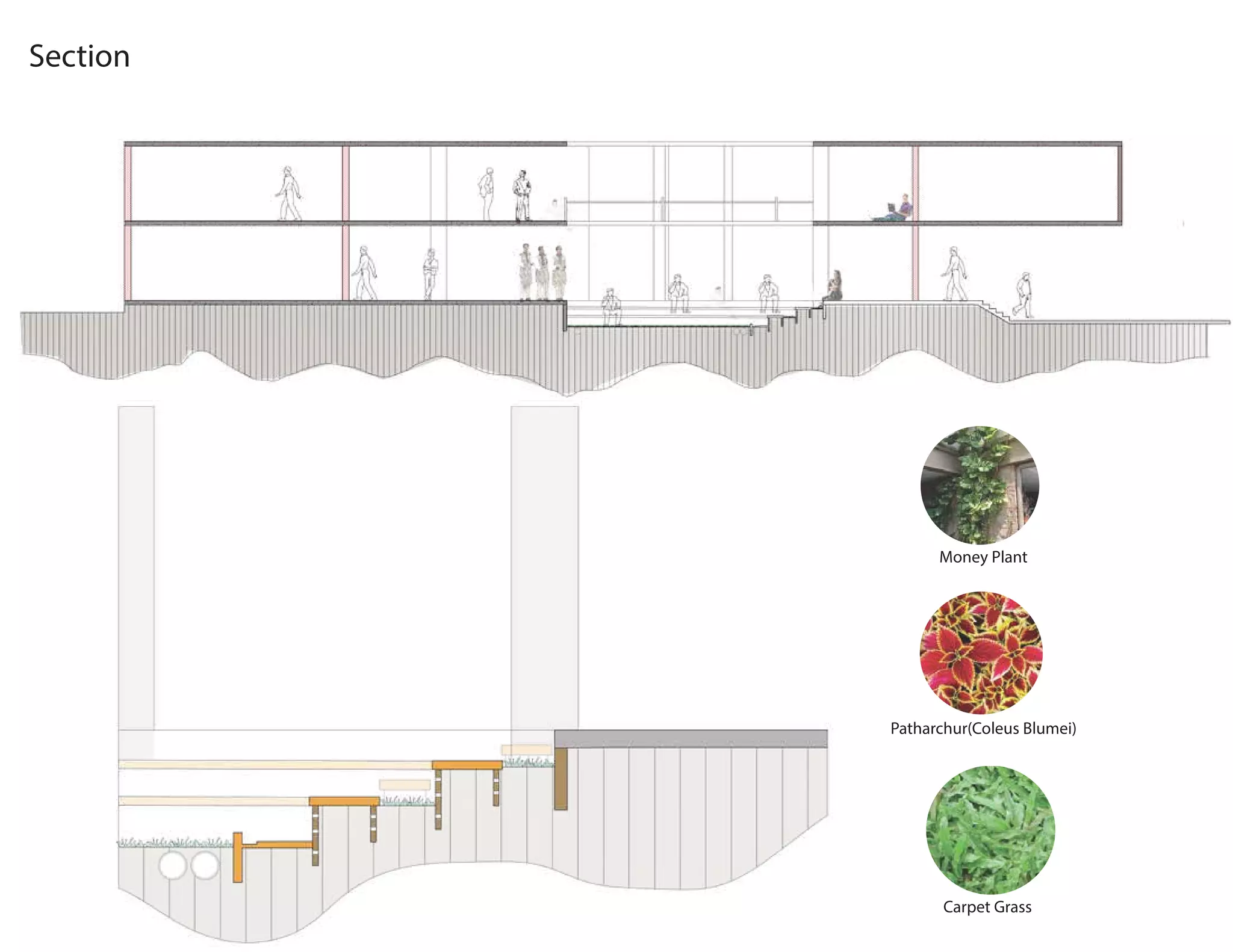 Campus Gardening- University Center, SUST | PPT