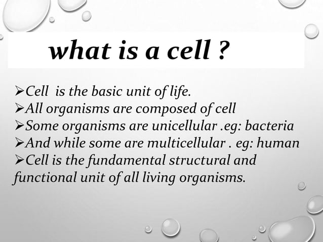 CELLS- The basic unit of life | PPTX