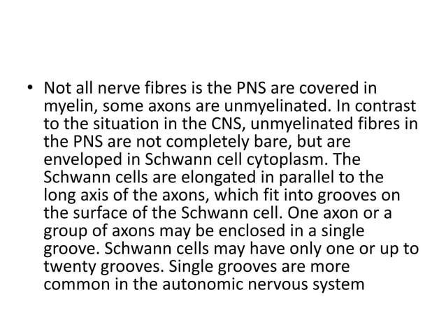 NEURON SUPPORTIVE CELLS OR ANS | PPTX | Brain and Nervous System Disorders | Diseases and Conditions