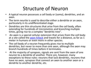 NEURON SUPPORTIVE CELLS OR ANS | PPTX