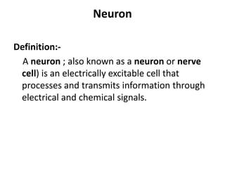 NEURON SUPPORTIVE CELLS OR ANS | PPT