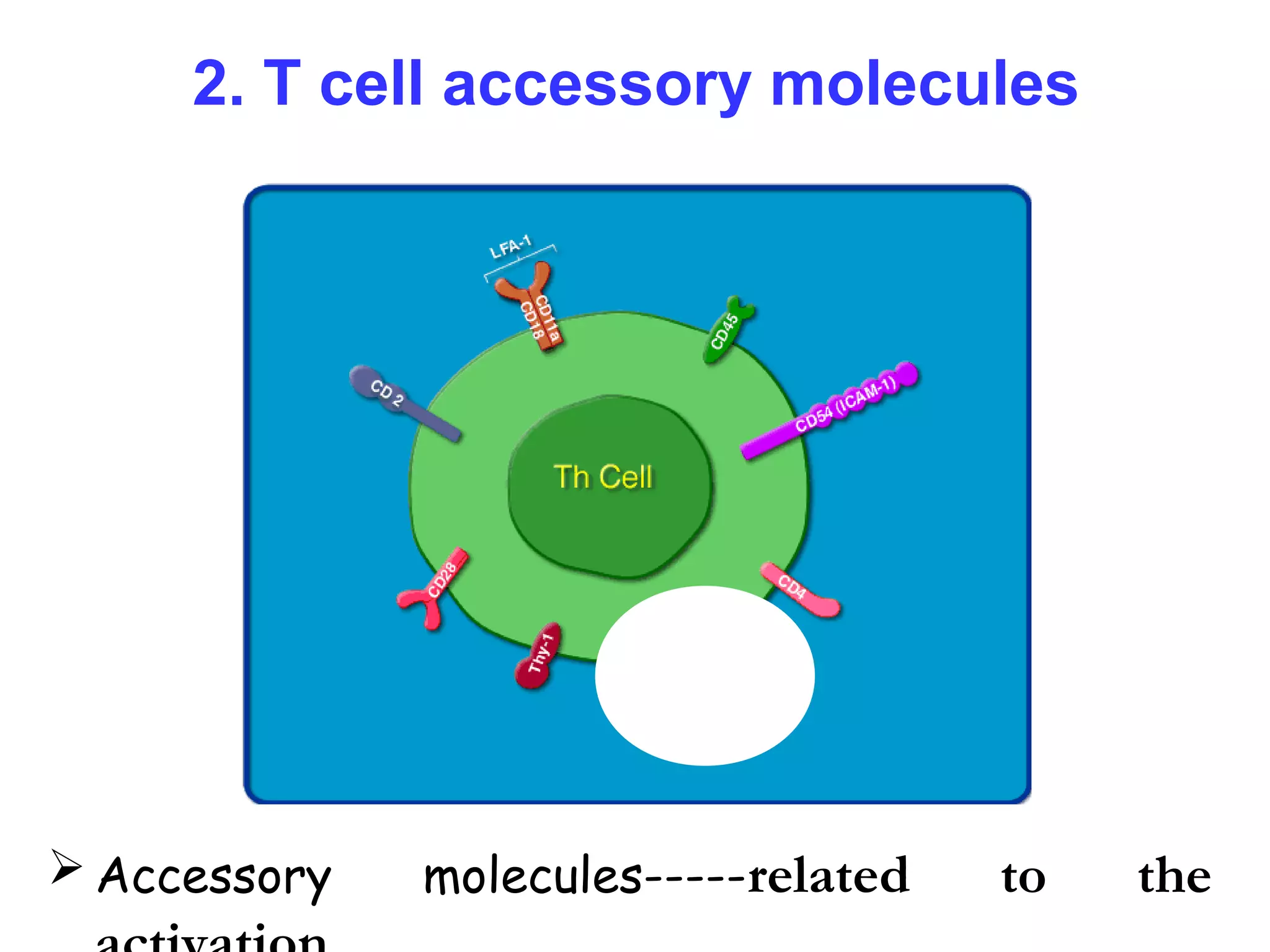 G.2014-immuno~ (8.adaptive immunity'tcell'-jyh) | PPT
