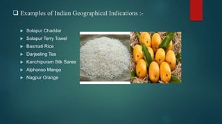 GEOGRAPHICAL INDICATIONS OF INDIAN GOODS & INDIAN PATENT SCENARIO | PPTX