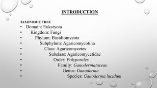 Ganoderma lucidum | PPTX