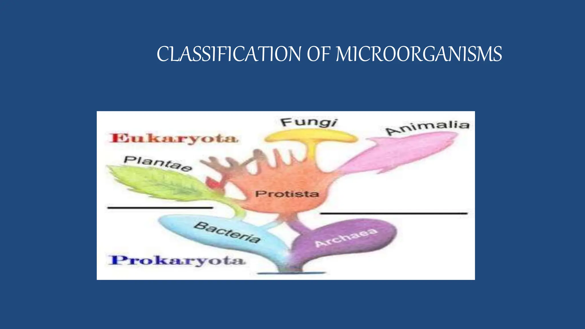 G-1 Classification of Microorganisms.pptx