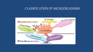 G-1 Classification of Microorganisms.pptx