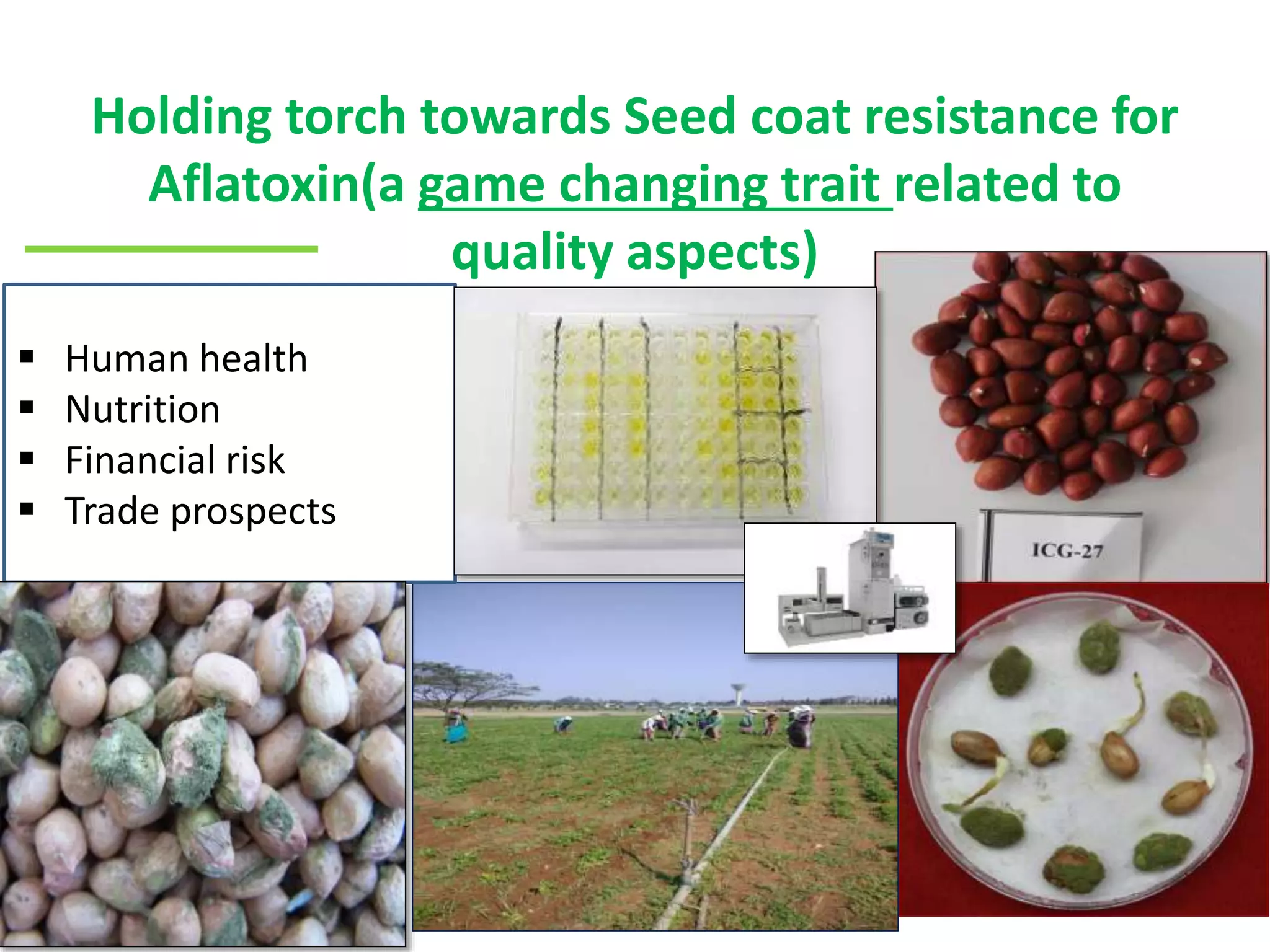 Advances in Ground nut breeding | PPT