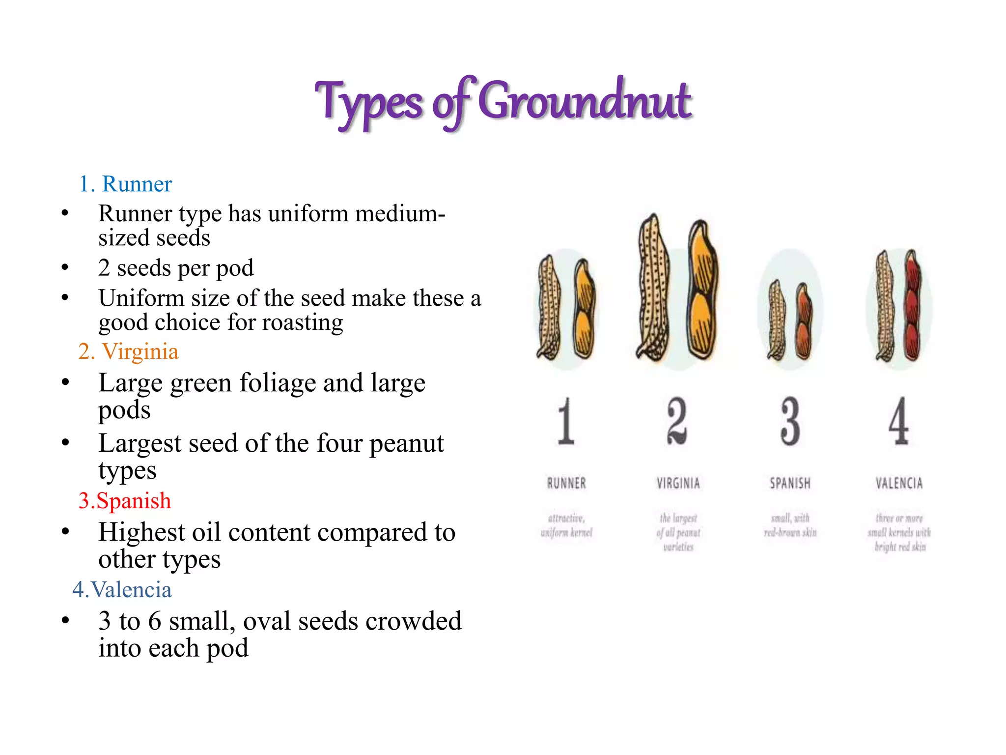 Advances in Ground nut breeding | PPT
