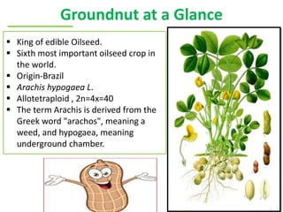 Advances in Ground nut breeding | PPTX