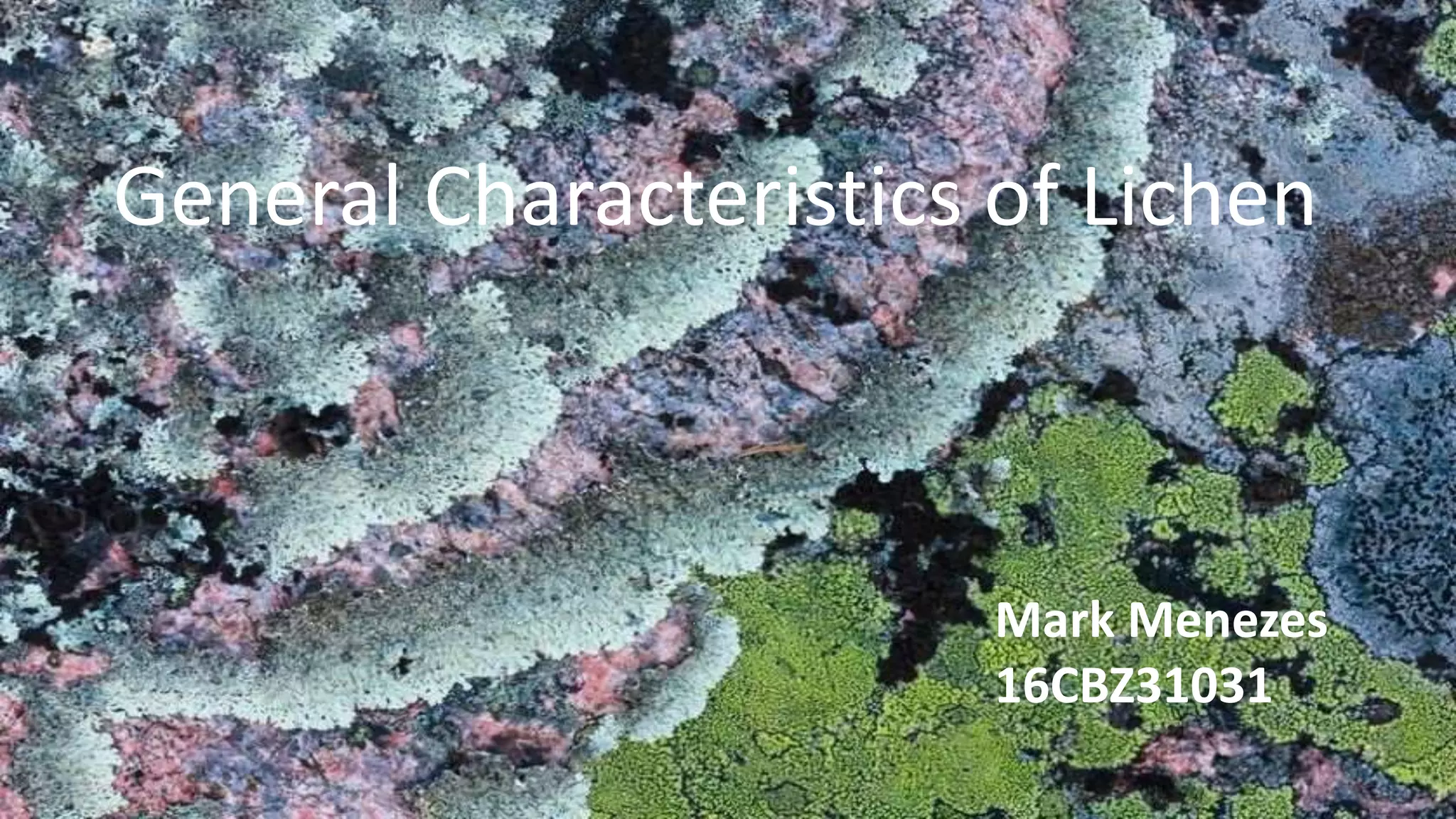 G.C of Lichens.pptx
