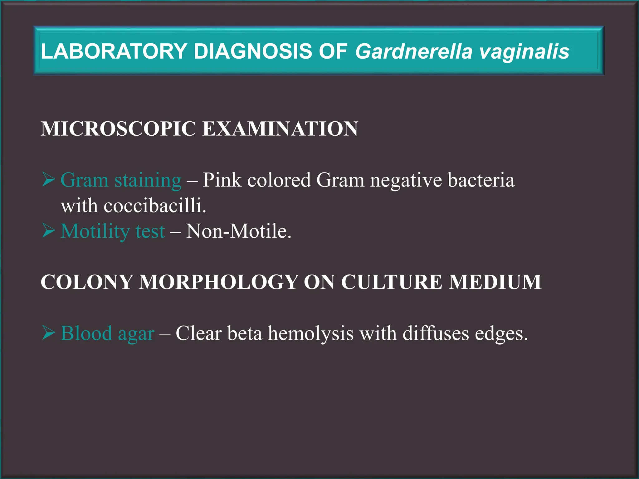 gardnerella vaganalis (vaginalbacteria).pptx