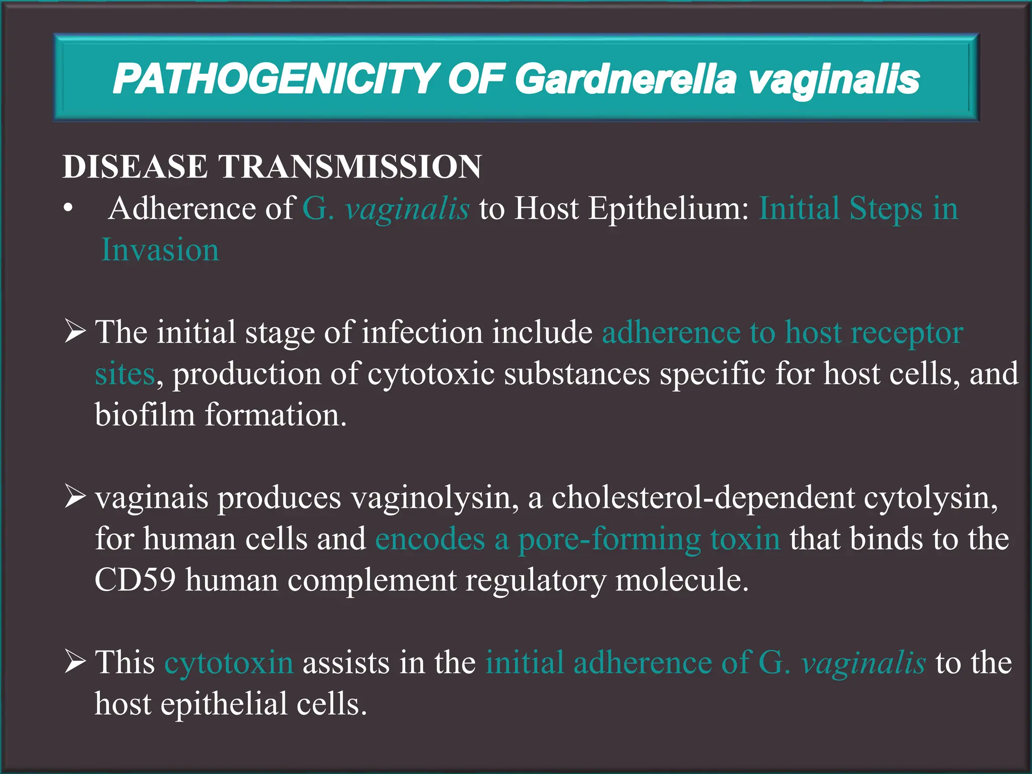 gardnerella vaganalis (vaginalbacteria).pptx