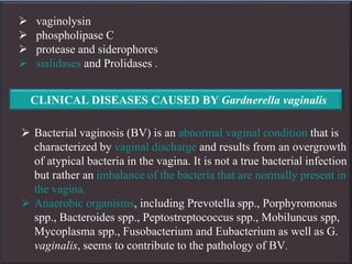 gardnerella vaganalis (vaginalbacteria).pptx