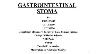 G.I Stomas-1 updated.pptx presentation on surgery | PPTX