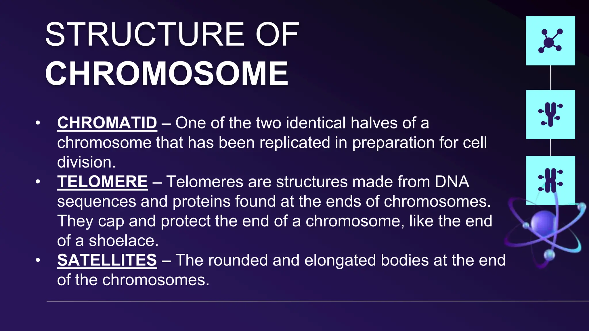 Definition of chromosomes and it's functions | PPTX