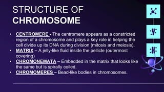 Definition of chromosomes and it's functions | PPTX