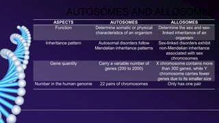 Definition of chromosomes and it's functions | PPTX