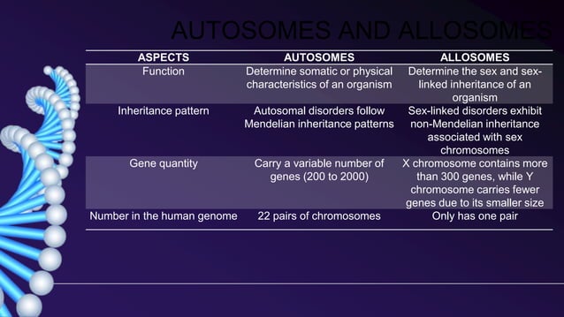 Definition of chromosomes and it's functions | PPTX | Genetics | Science
