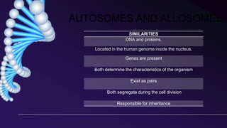Definition of chromosomes and it's functions | PPTX